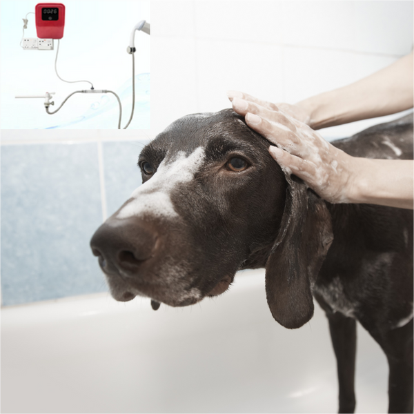 Ozone Shower for Pets | Trail & Tail